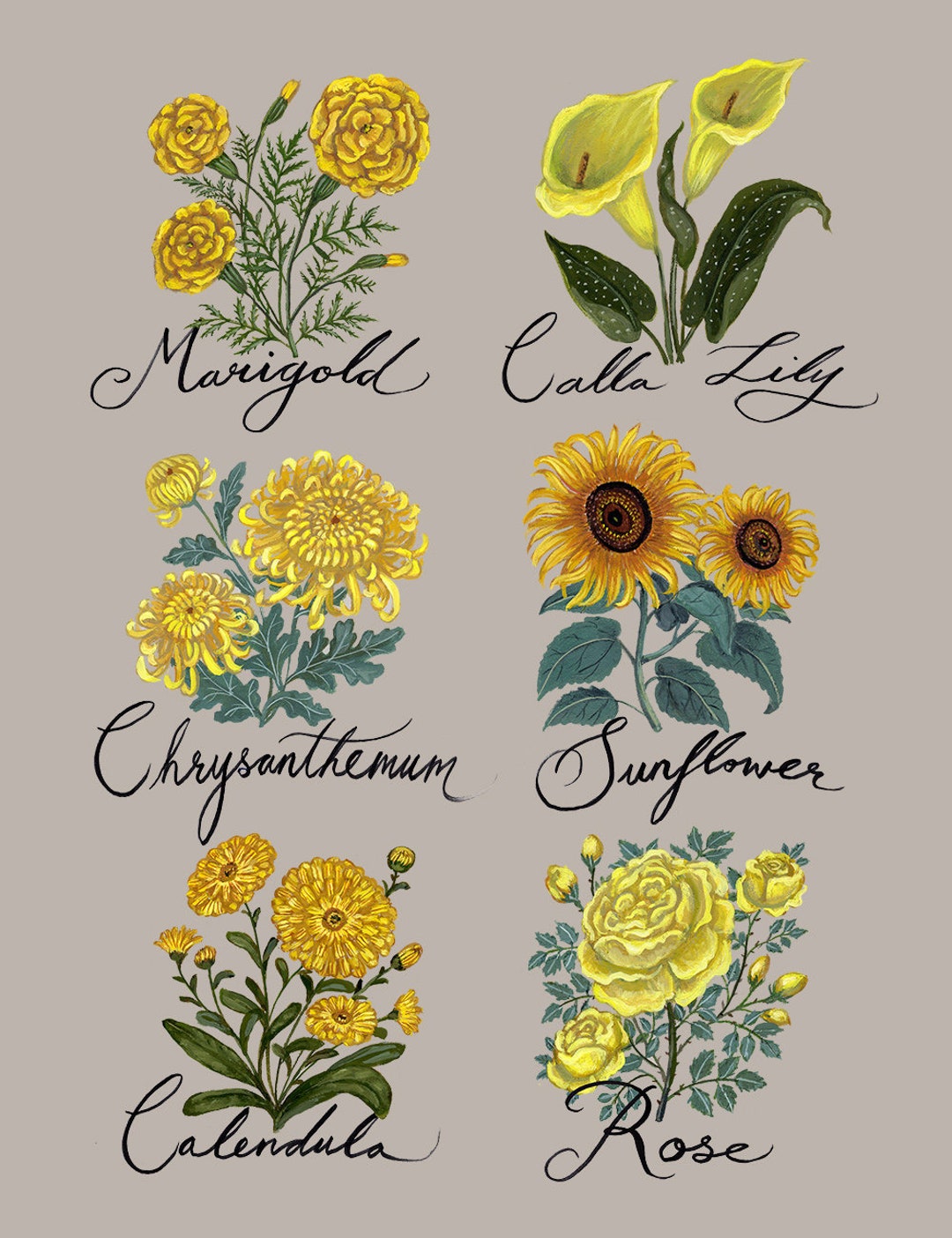 Yellow Flowers Botanical - Print - Etsy