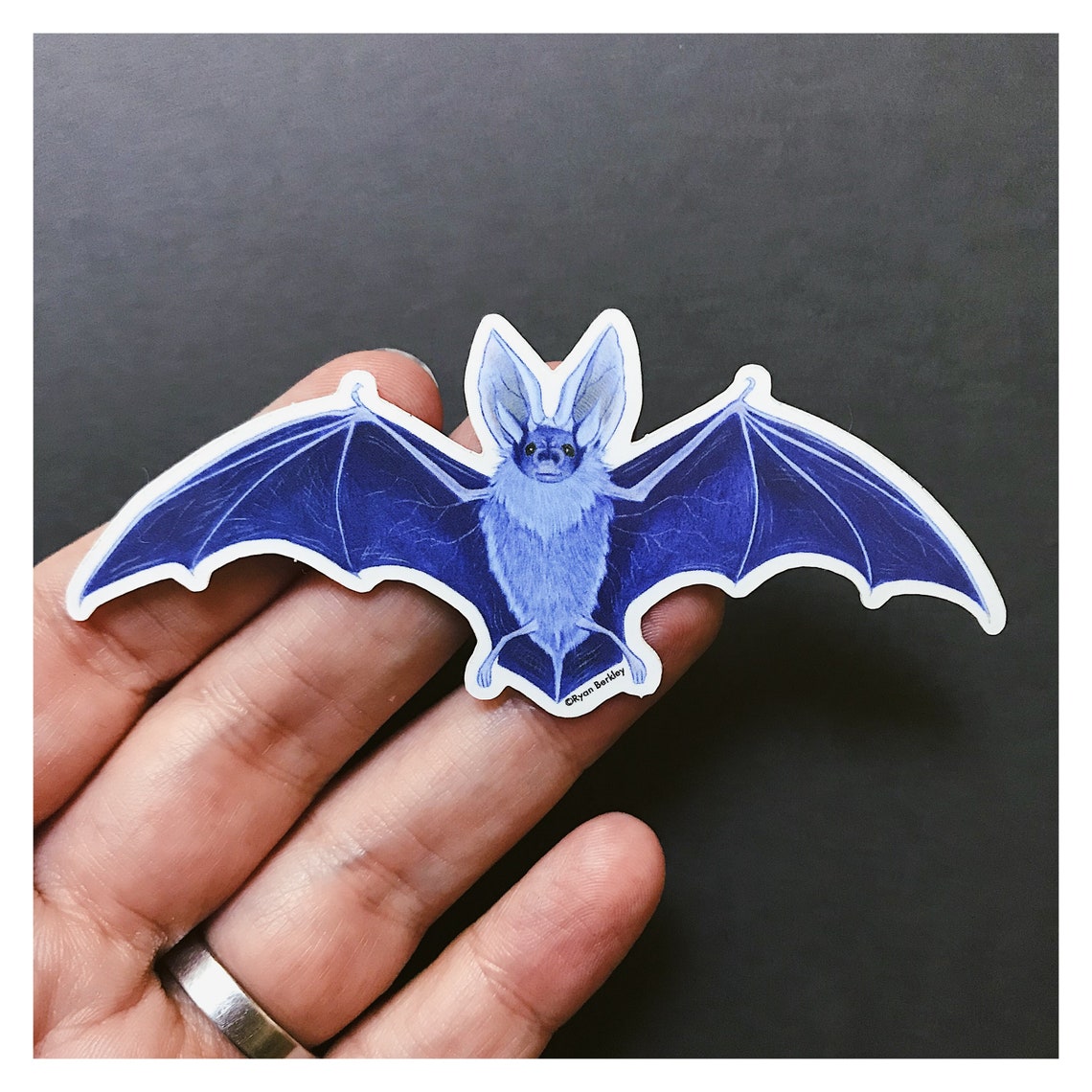 Vinyl Sticker Bat Laptop Sticker - Etsy