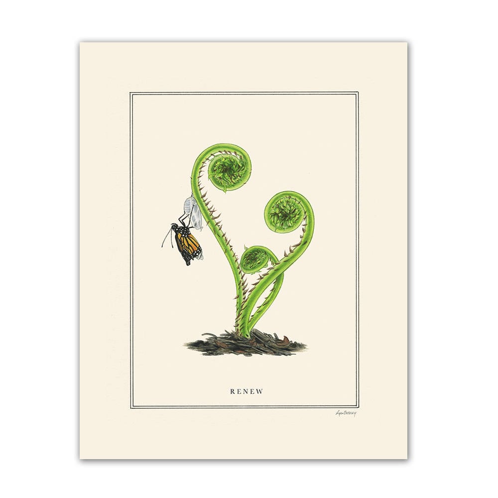 Fiddlehead Fern Clipart