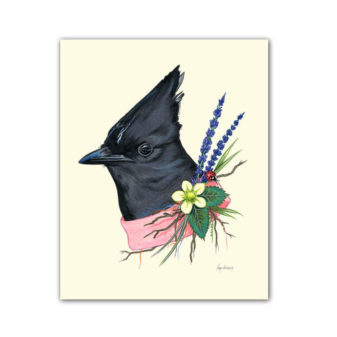Steller's Jay Art Print 5x7 - Etsy