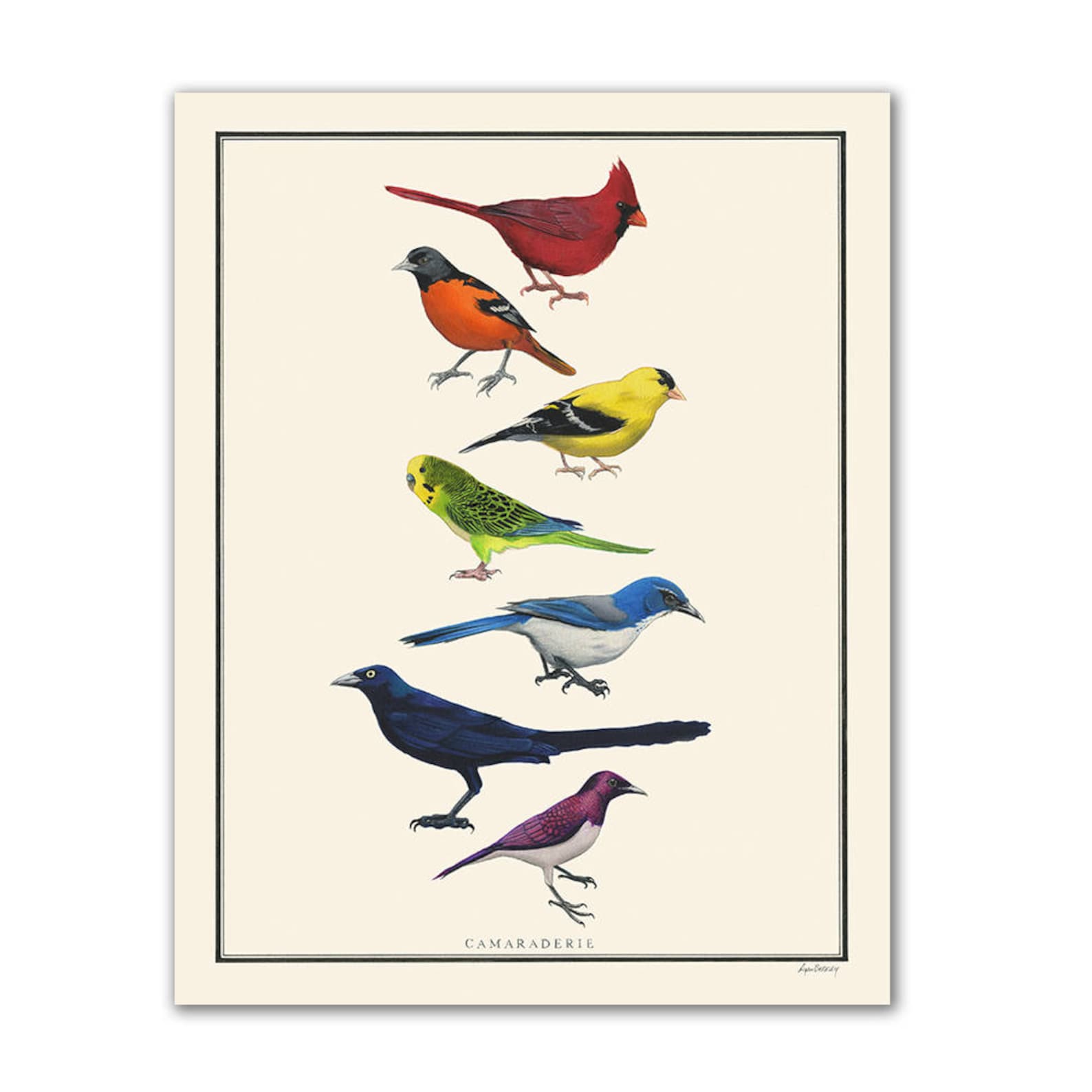 Natural Values Print - Camaraderie - Bird Art - Rainbow - Nature Art ...
