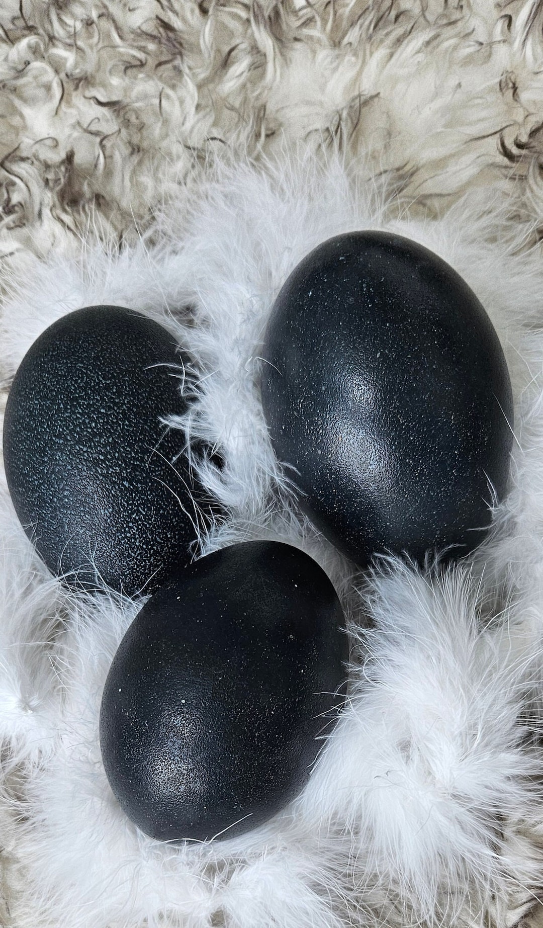 Blown Emu Egg: Naturally Cleaned Bluish Green Craft Egg - Etsy