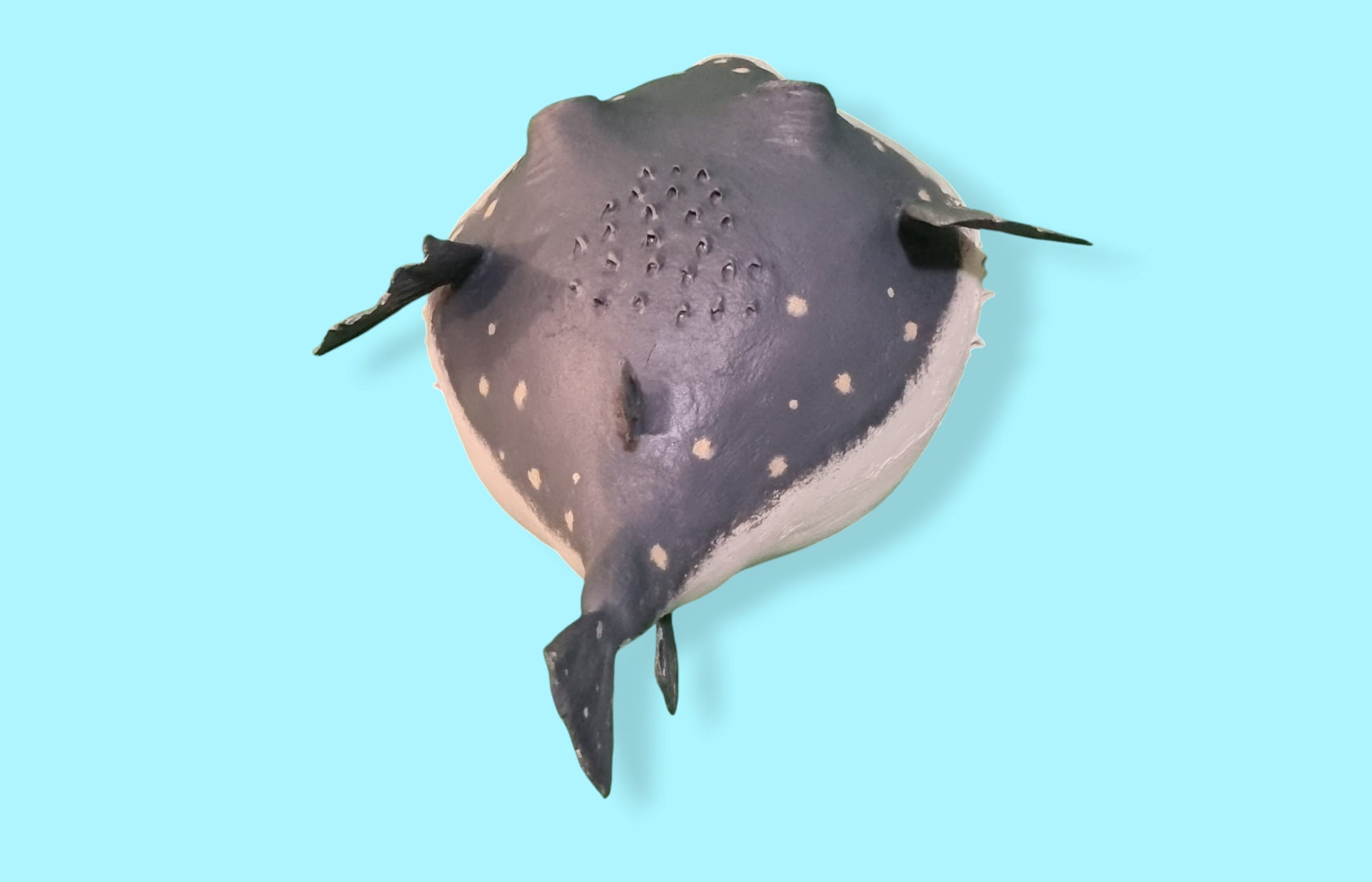 Pufferfish Paper MACHE Clay Handmade Sculpture - Etsy