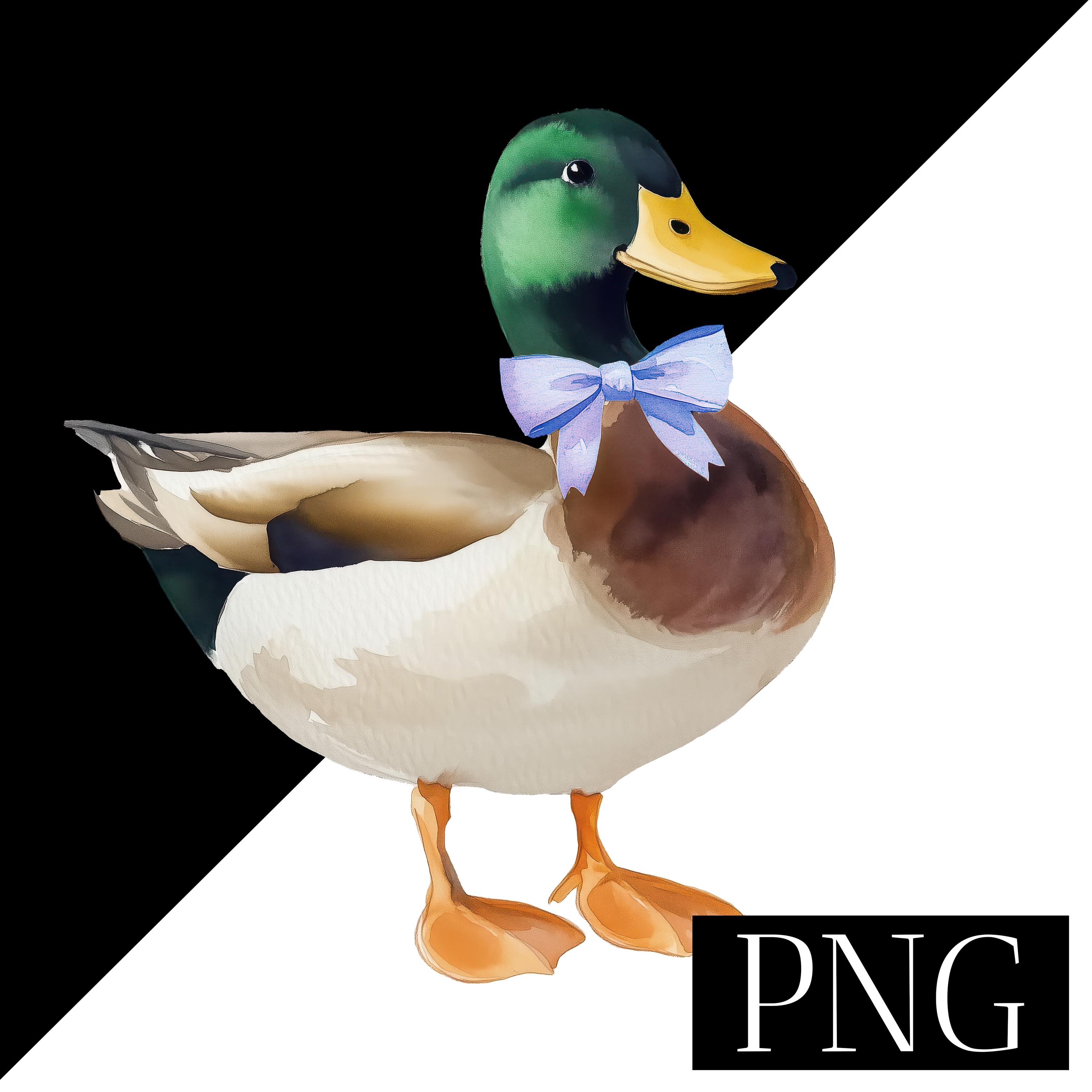 Watercolor Mallard Duck Clipart – Wild Duck With Blue Bow PNG – Boy ...