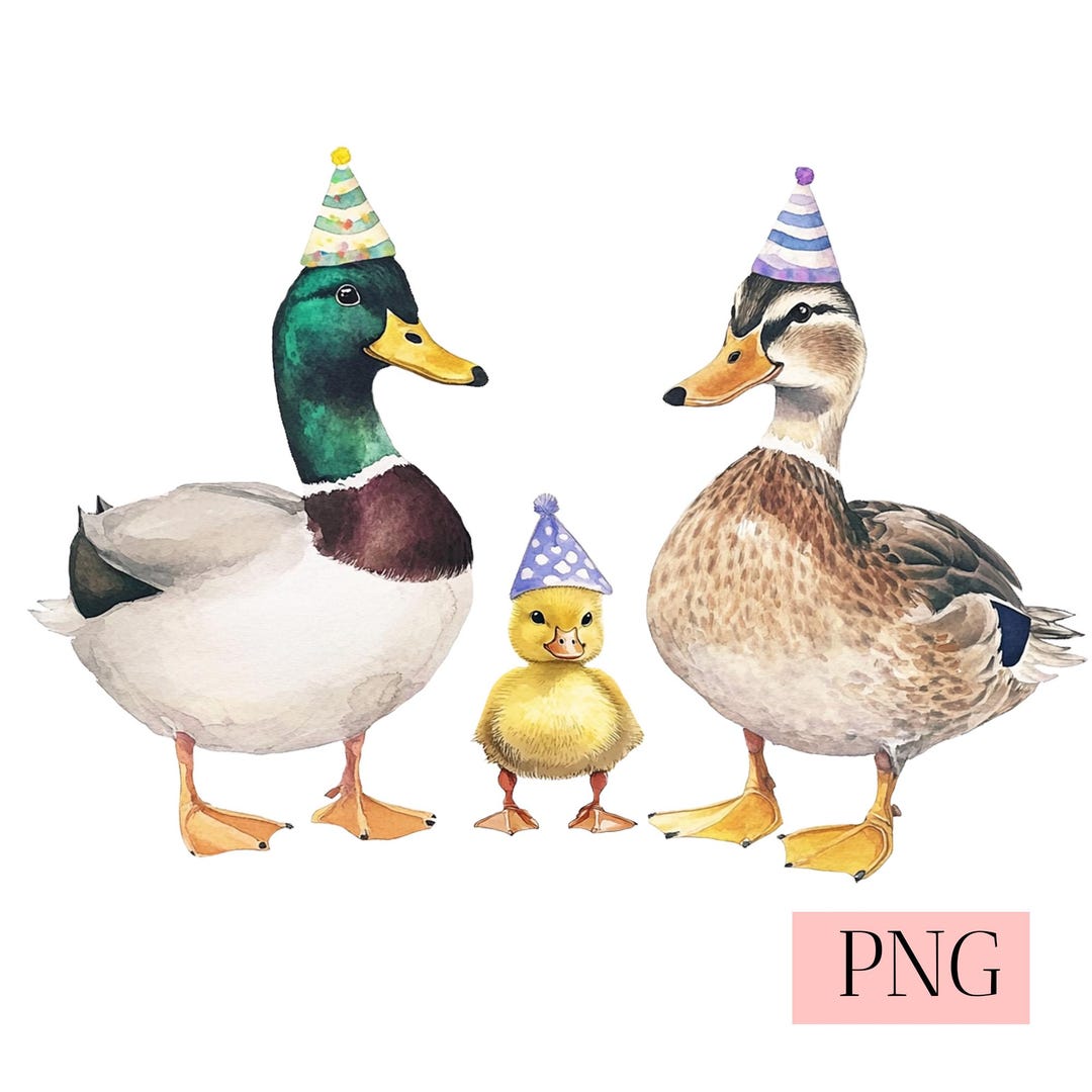 Mallard Duck Family Watercolor Clipart - Mallard Duck PNG - Duck ...