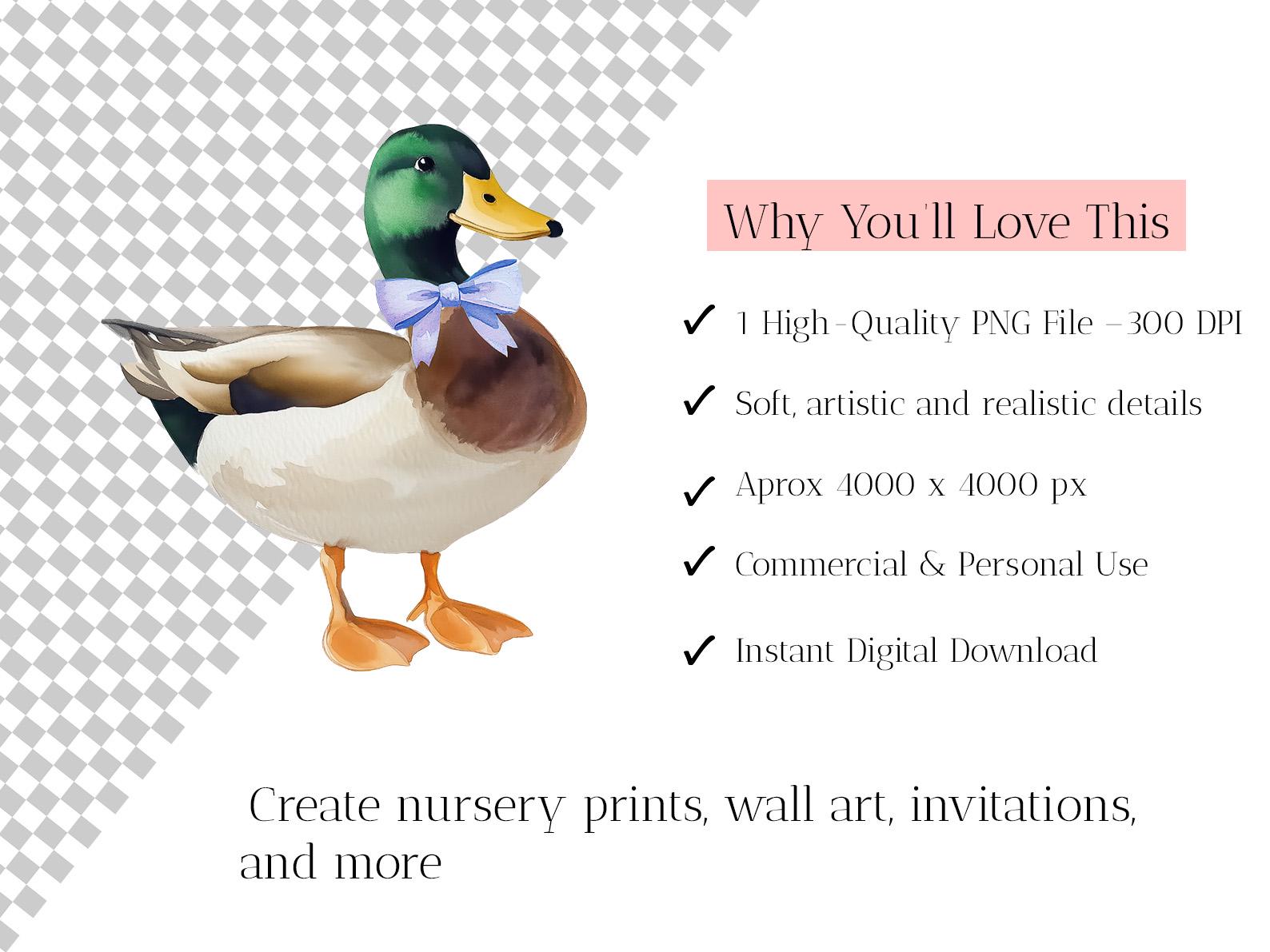 Watercolor Mallard Duck Clipart – Wild Duck With Blue Bow PNG – Boy ...