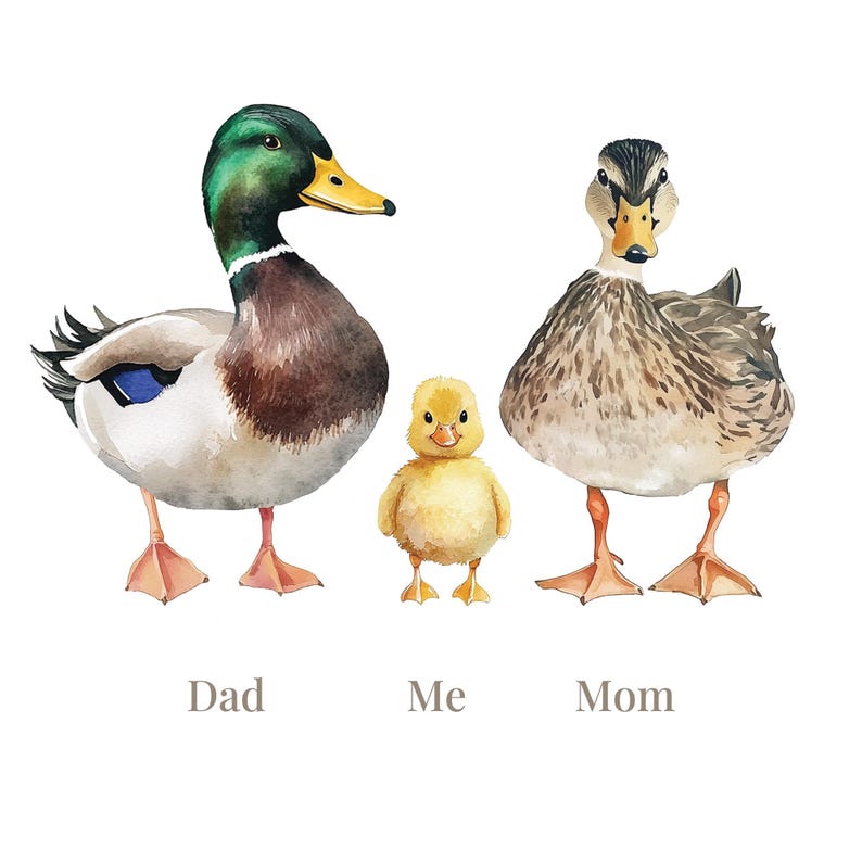 Mallard Duck Family Clipart - Watercolor Duck JPG - Woodland Animal ...