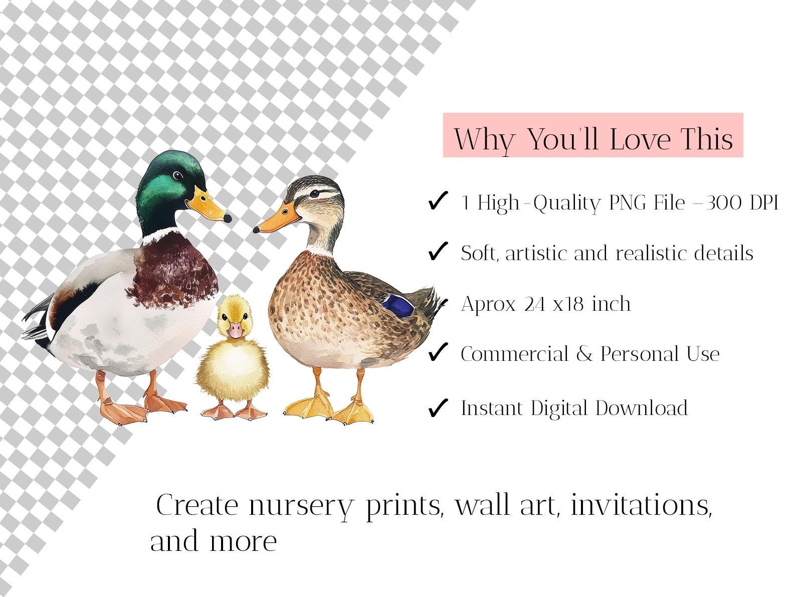 Mallard Duck Family Clipart - Watercolor Duck PNG - Baby Shower Nursery ...
