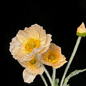 Faux Iceland Poppies - Soft Peach Blooms - Etsy