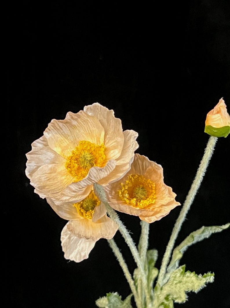 Faux Iceland Poppies - Soft Peach Blooms - Etsy