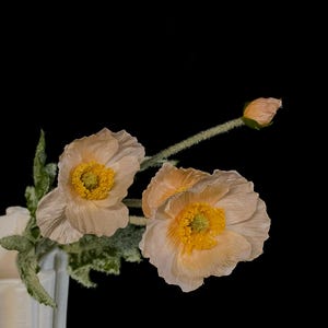 Faux Iceland Poppies - Soft Peach Blooms - Etsy