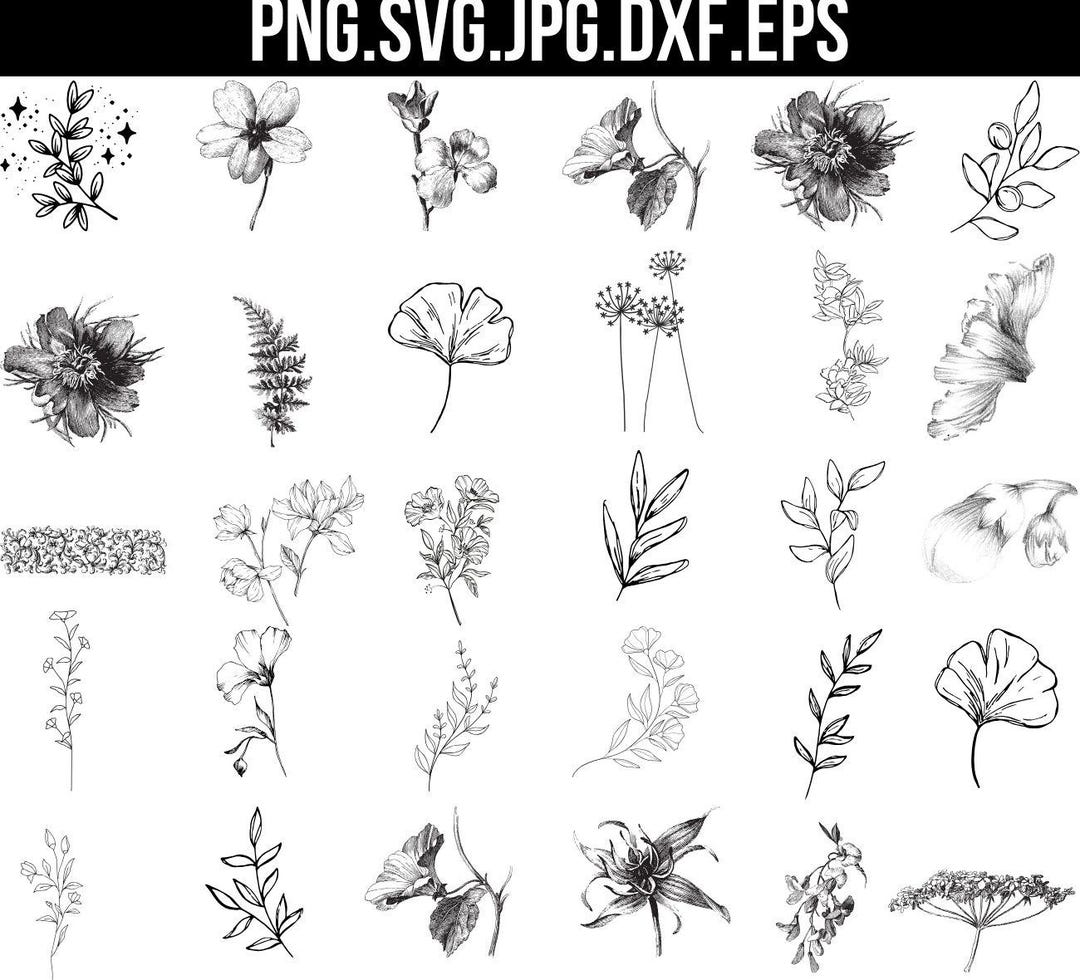 Botanical Svg Bundle, Floral Svg, Flower Svg, Botanical Clipart, Flower ...