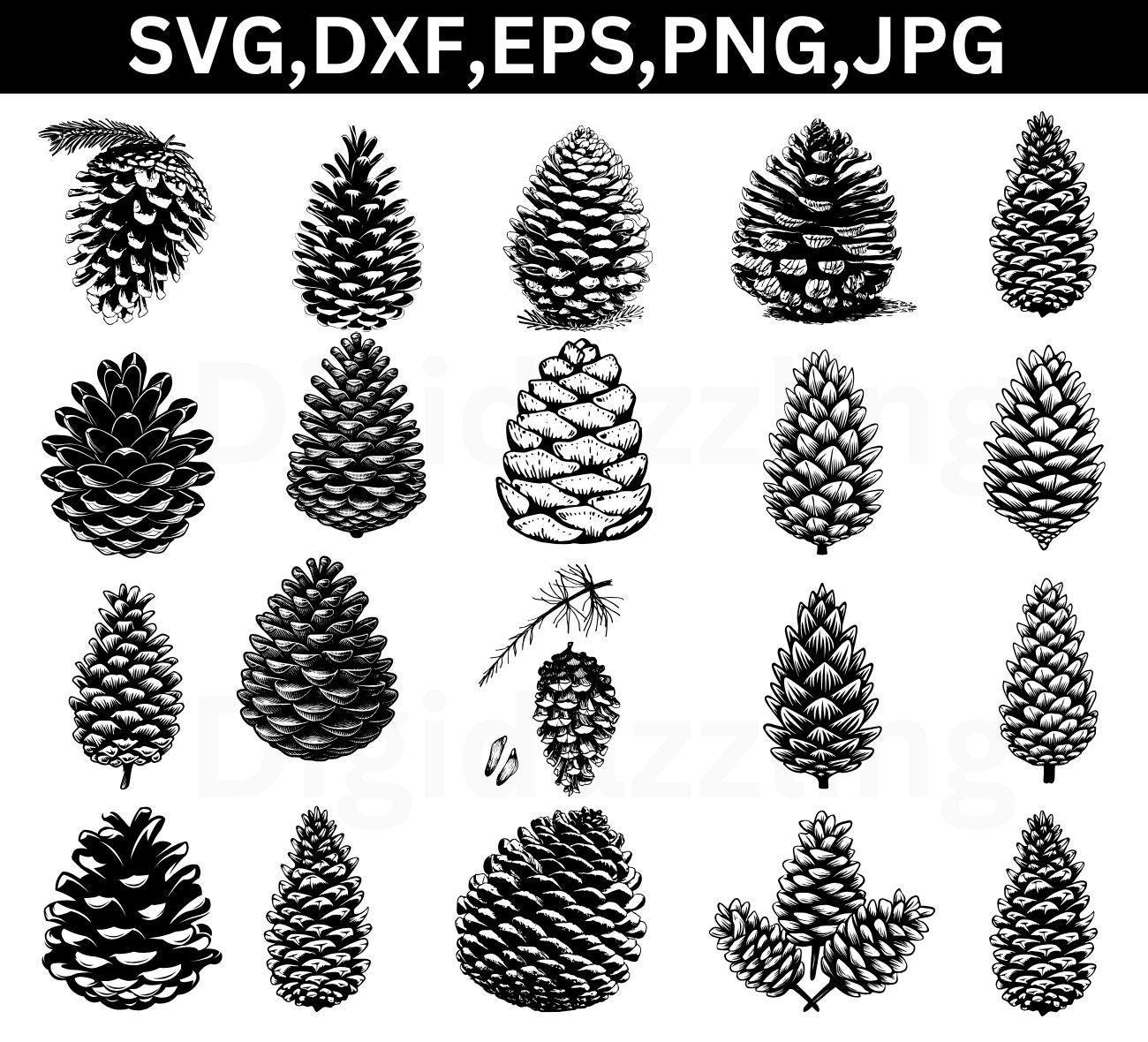 Pinecone Svg, Svg Files for Cricut, Pine Svg, Pine Tree Svg, Woodland ...