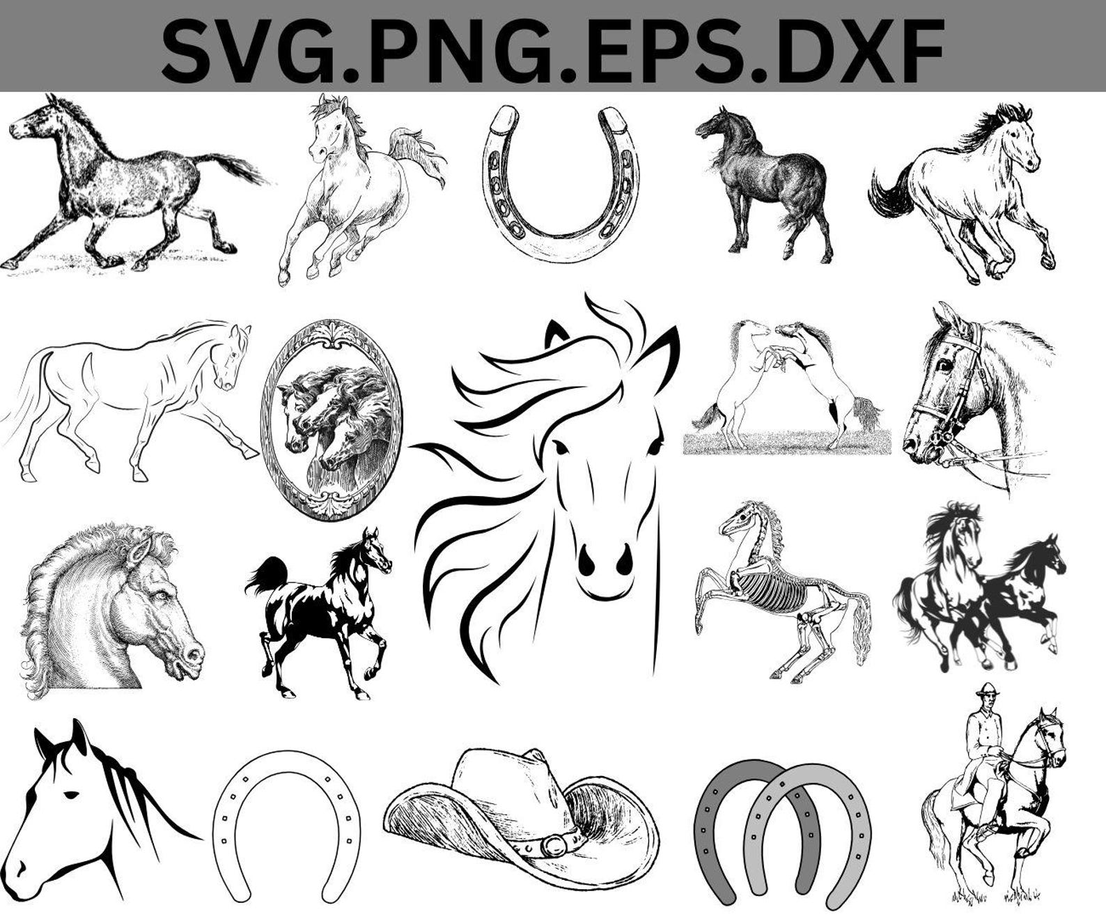 Horse Svg, Horse Svg Bundle, Horse Head Svg, Horse Vector, Horse Lover ...