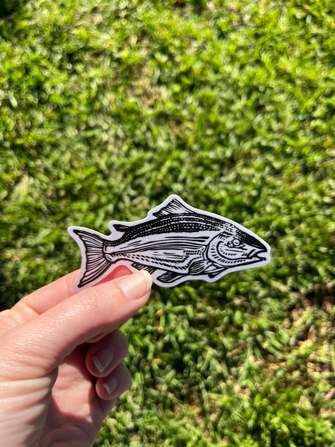 Salmon Fish Vinyl Sticker: Original Block Printed Design - Etsy