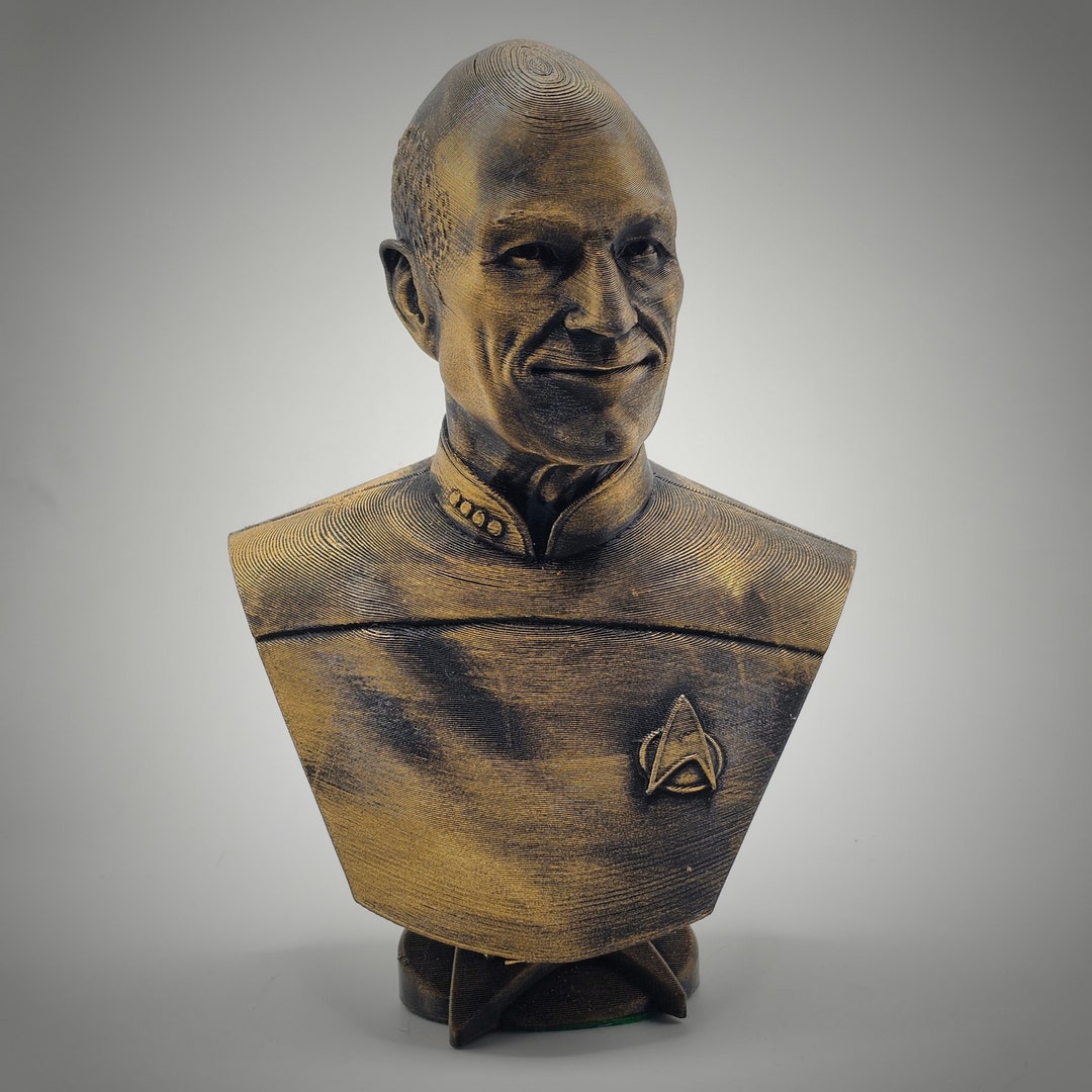 Captain Picard 3d Printed Bust - Etsy