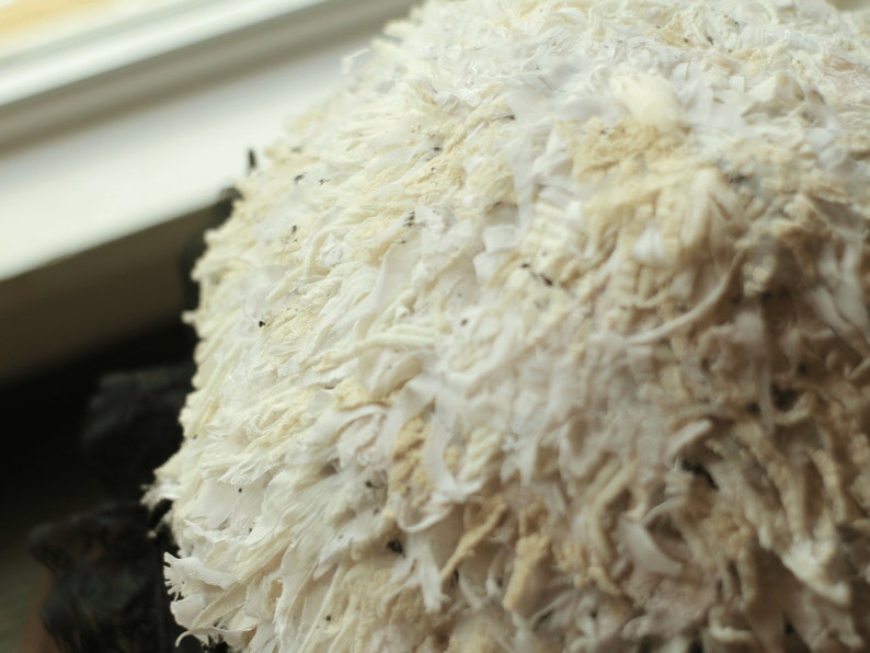 Shaggy Mane Mushroom Hat, Inky Cap, Comfortable Wear, Forest Fairy ...