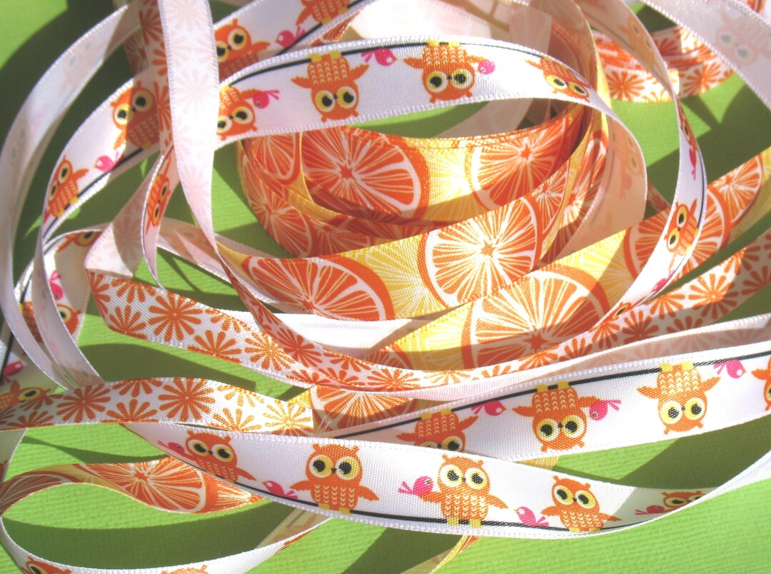 Tangerine Dream Craft Assorted Ribbon Set - Etsy