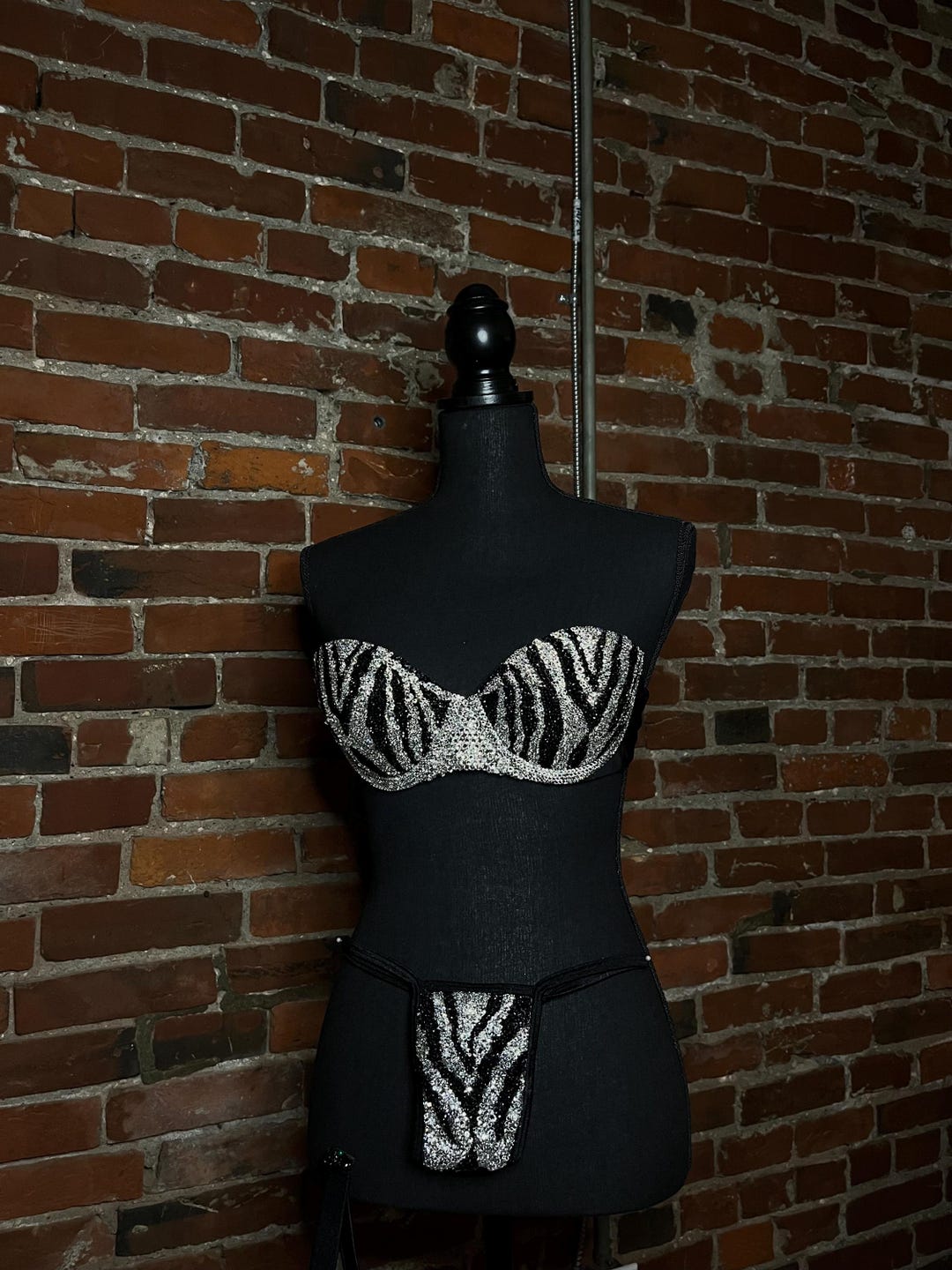 Zebra Animal Print Crystal Burlesque/ Cabaret Costume Bra & Panty Set ...