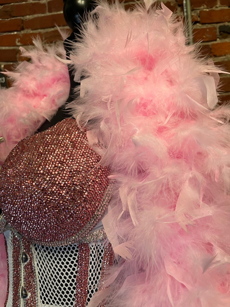 Pink Panther Classic Crystal Burlesque Cabaret Costume, Bra, Panty ...