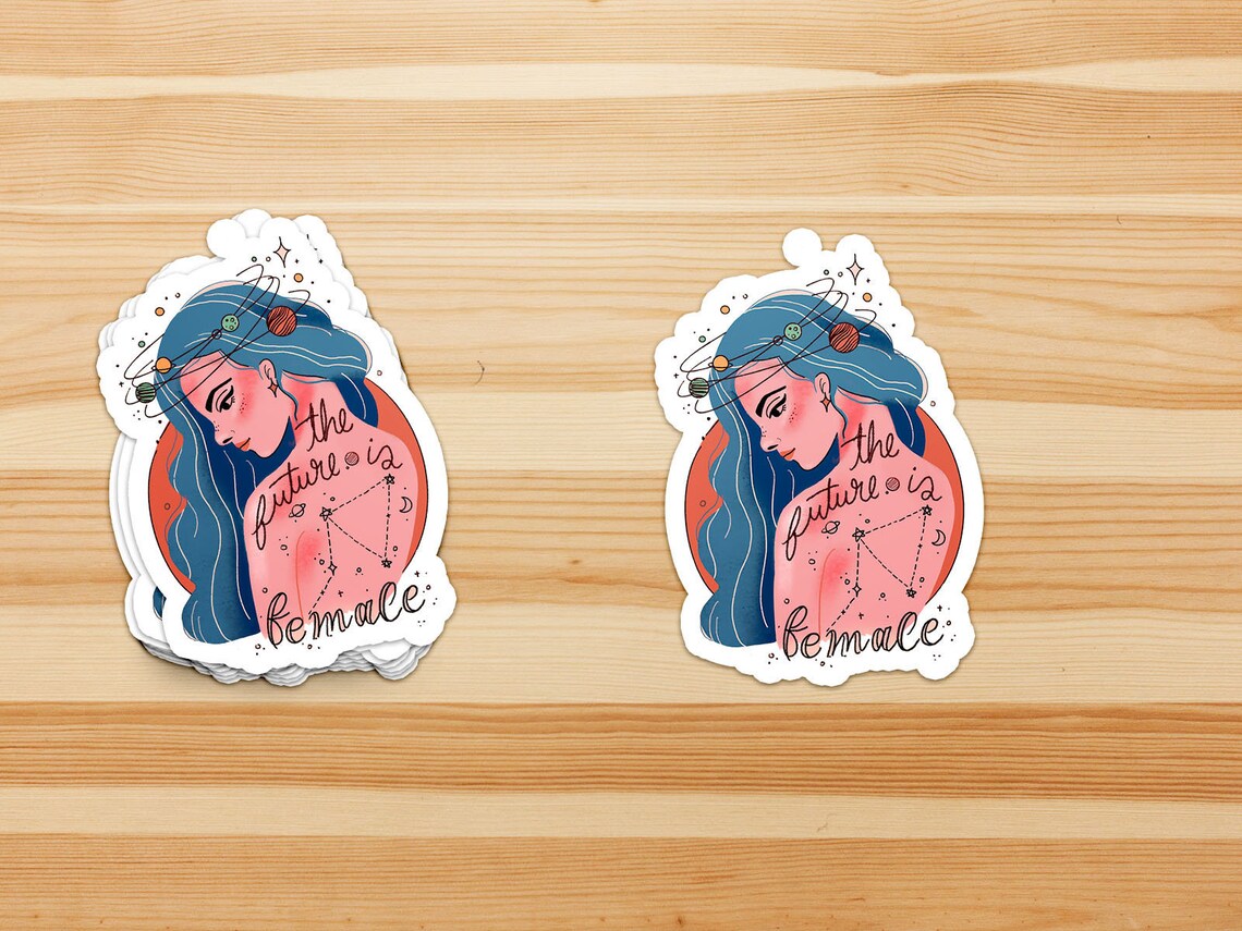 The Future is Female Feminist Sticker Feminism Gift Stickers. - Etsy