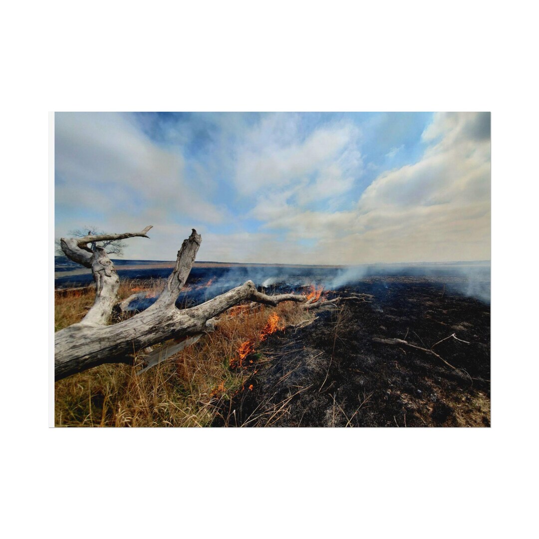 Prairie Fire, Controlled Burn, Fire, Pasture Fire, Pasture, Kansas ...