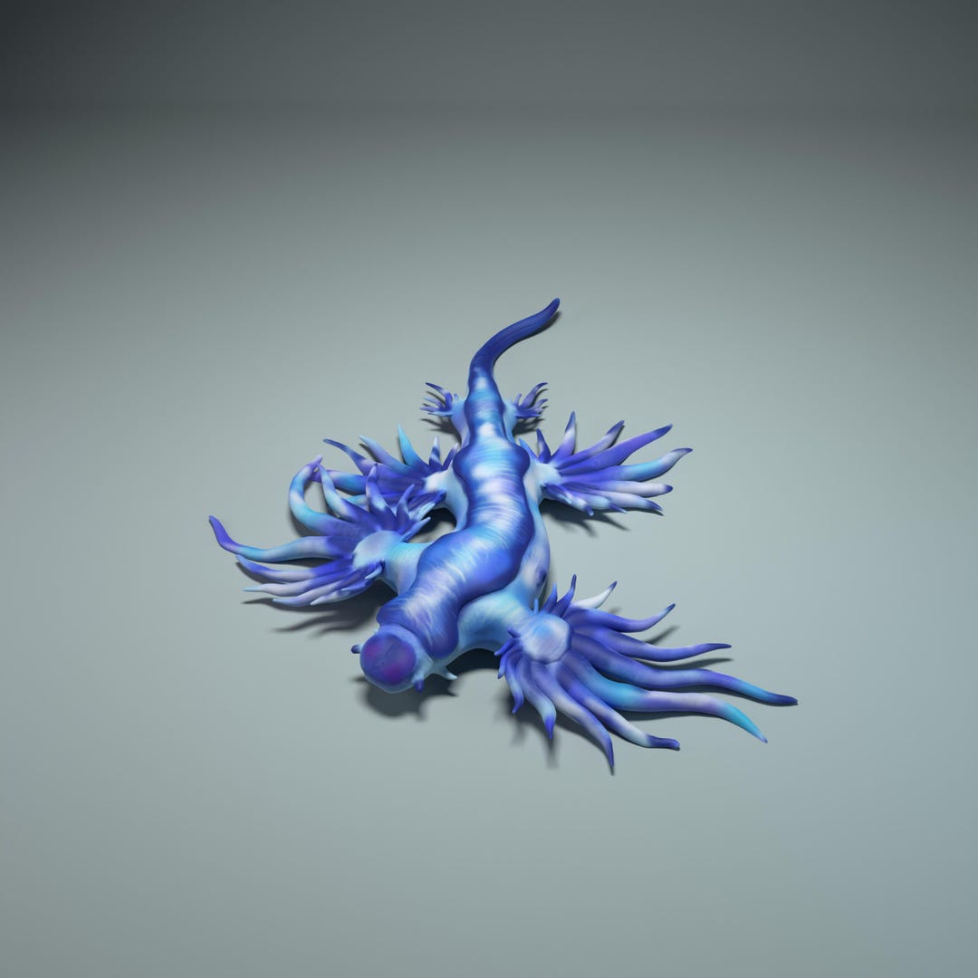 Glaucus Atlanticus by Animal Den Miniatures Sea Dragon Dragon Slug Blue ...