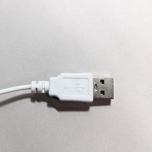 Y2K Aqua Style Mouse (USB) With Duck Floater - Etsy