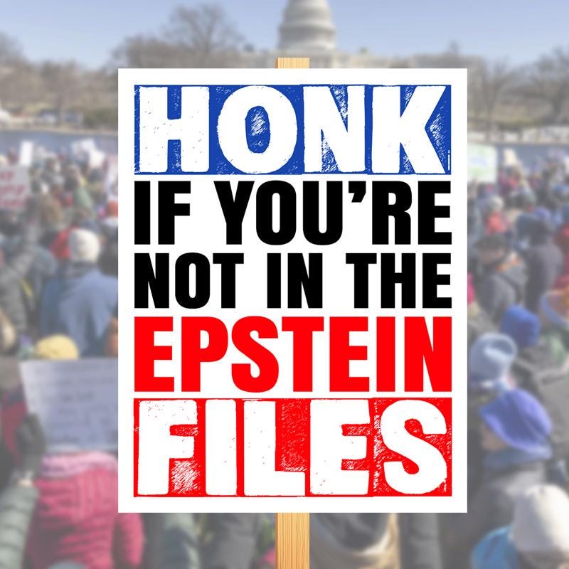 Epstein File Protest Signs - Etsy