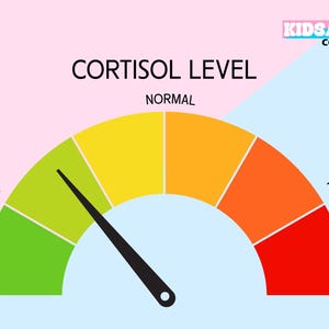 Cortisol Level Meme T-shirt, Funny Sarcastic Graphic Tee (PNG File ...