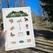 Park Scavenger Hunt Game, Outdoor Hiking Treasure for Kids, Nature ...