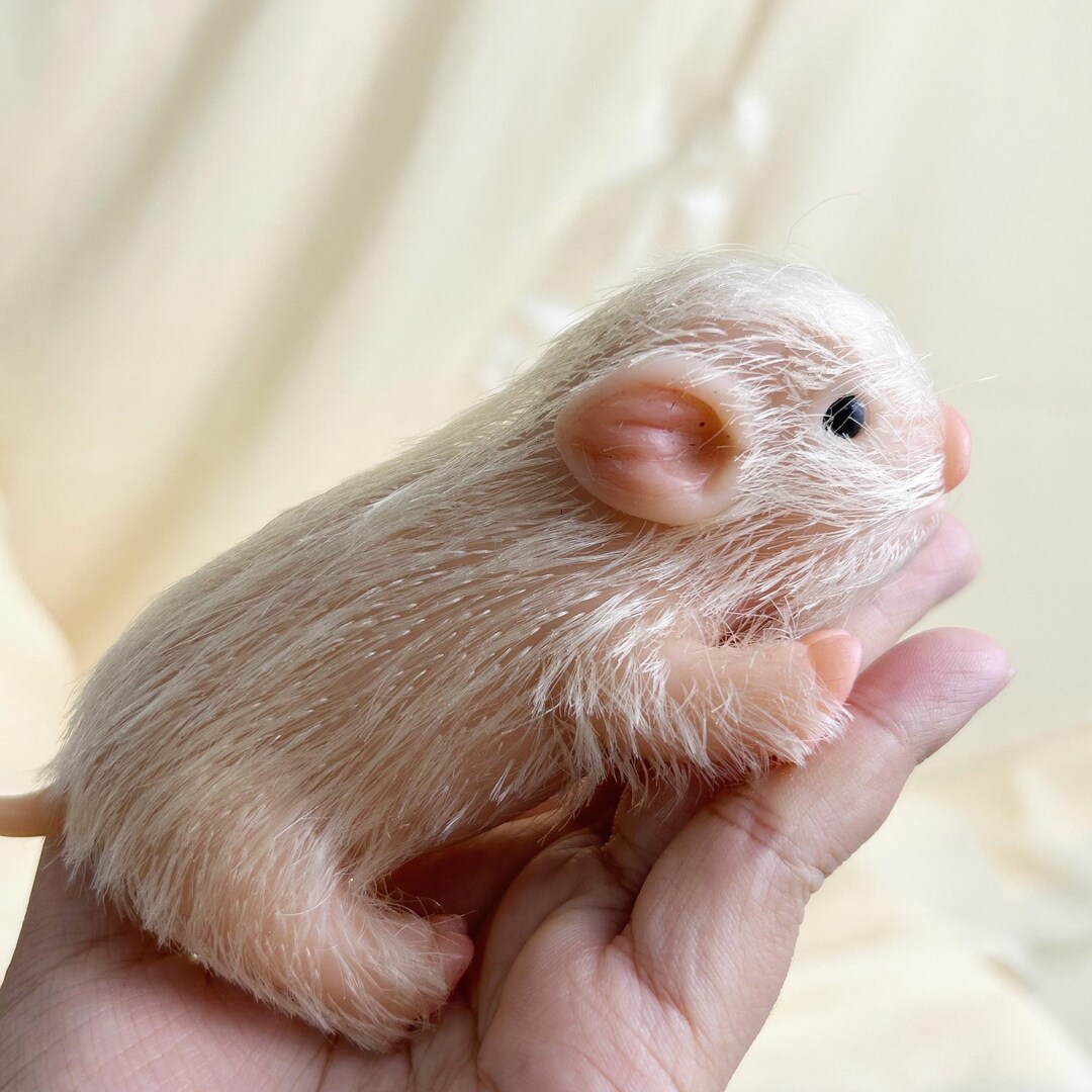 Silicone Piglet Soft Lifelike Animal Pig Doll Painted 5 Inches Mini ...