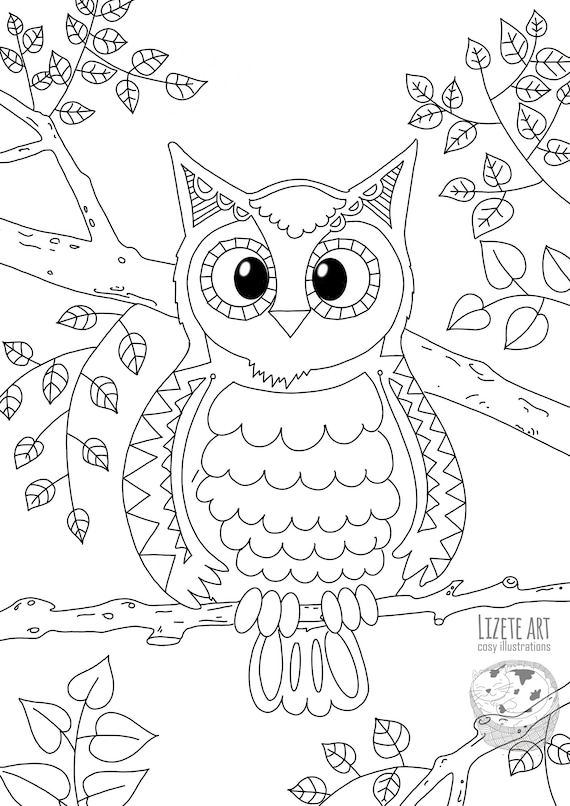 Cute Owl Coloring Pages For Kids Printable [2025]