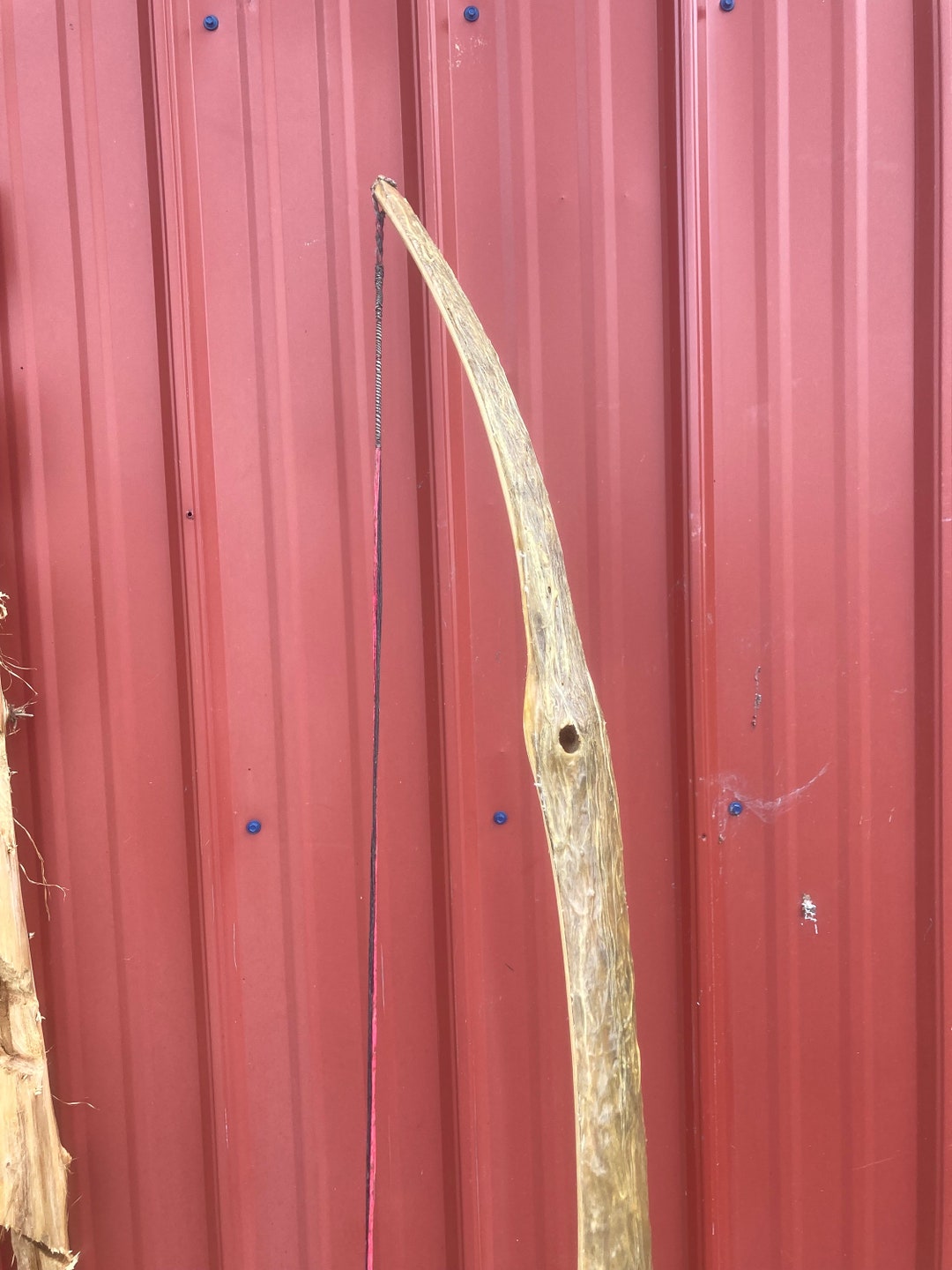 Sinew Backed Black Locust American Longbow With Knothole Limb 52 Lbs at ...