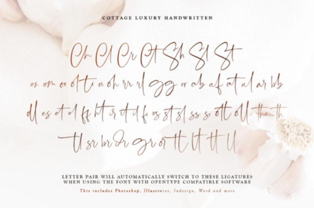 Cottage Font, Elegant Classy Typeface, Perfect for Luxurious Designs ...