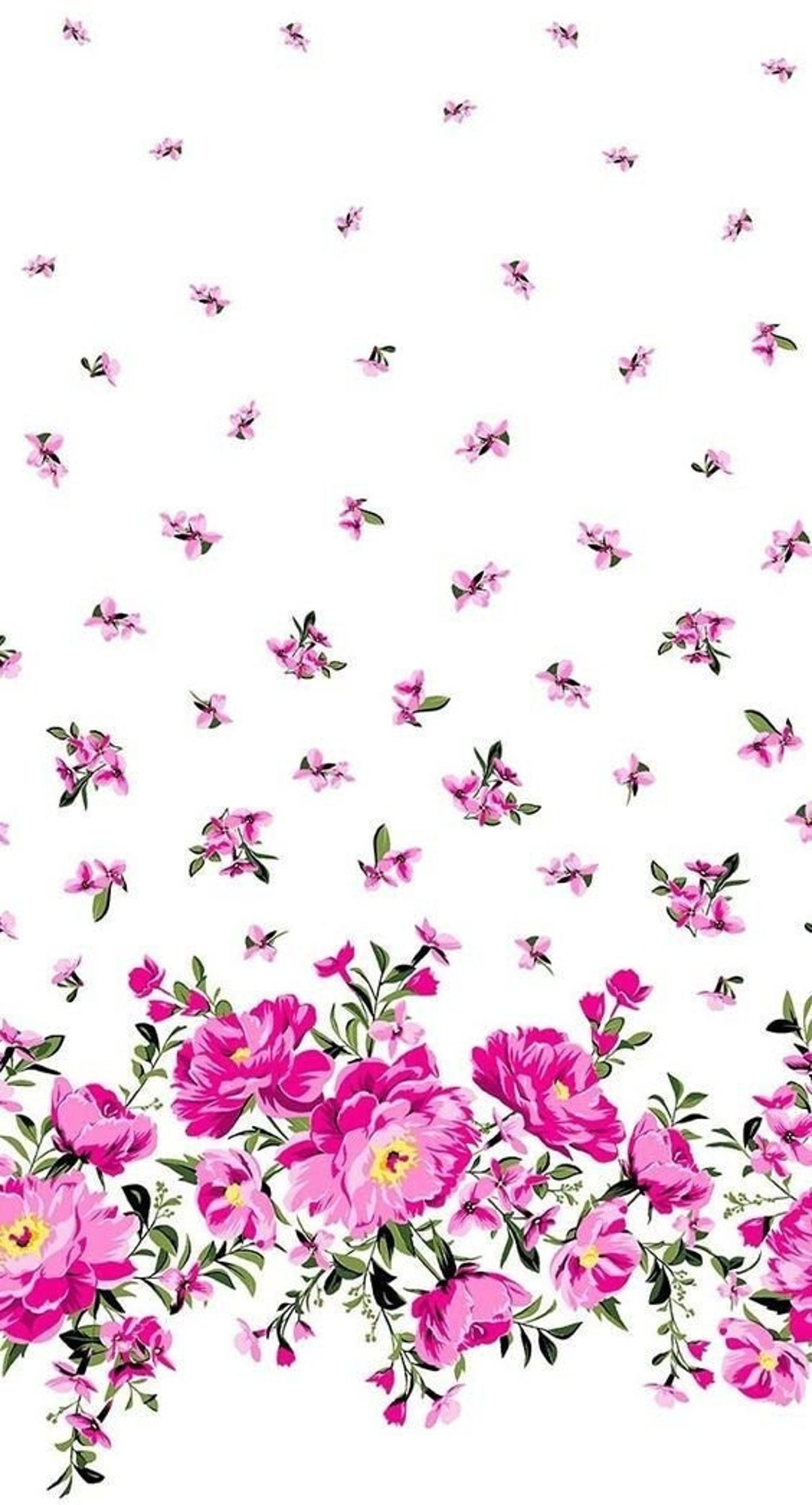 1/2 Metre Cabbage Rose Single Border by Michael Miller 100% Cotton ...