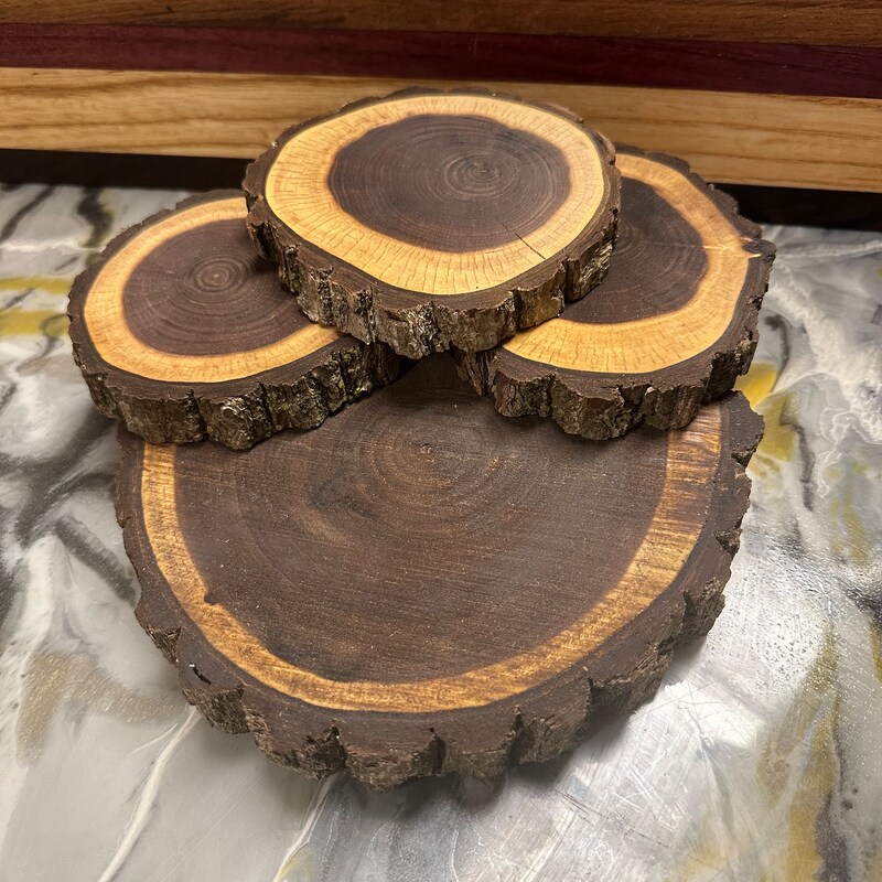 Black Walnut Slices - Etsy
