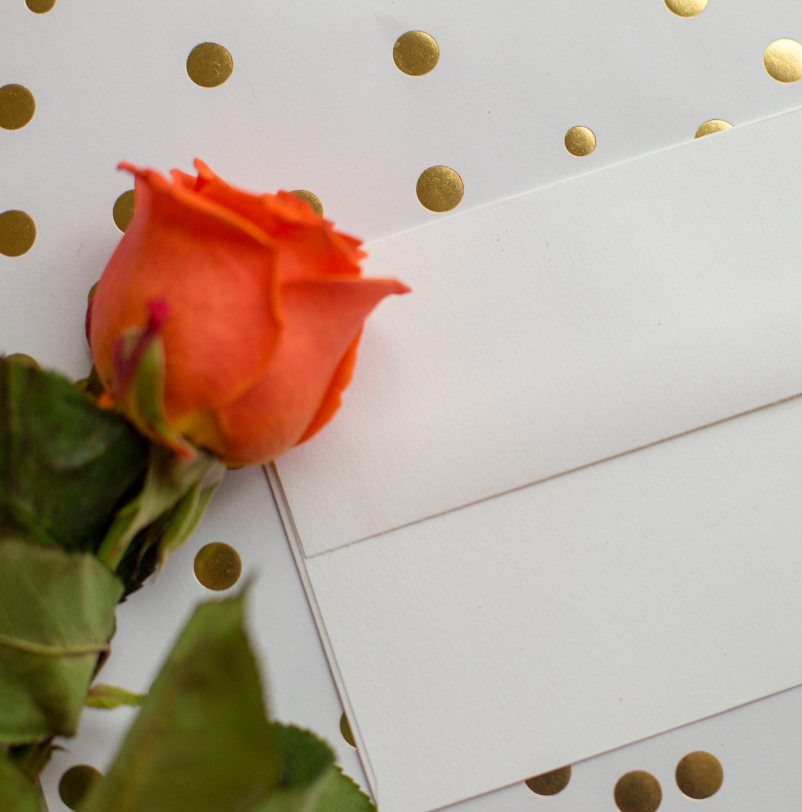 A7 Envelopes, White 5 X 7 Square Flap Envelopes - Perfect for 5 X 7 ...