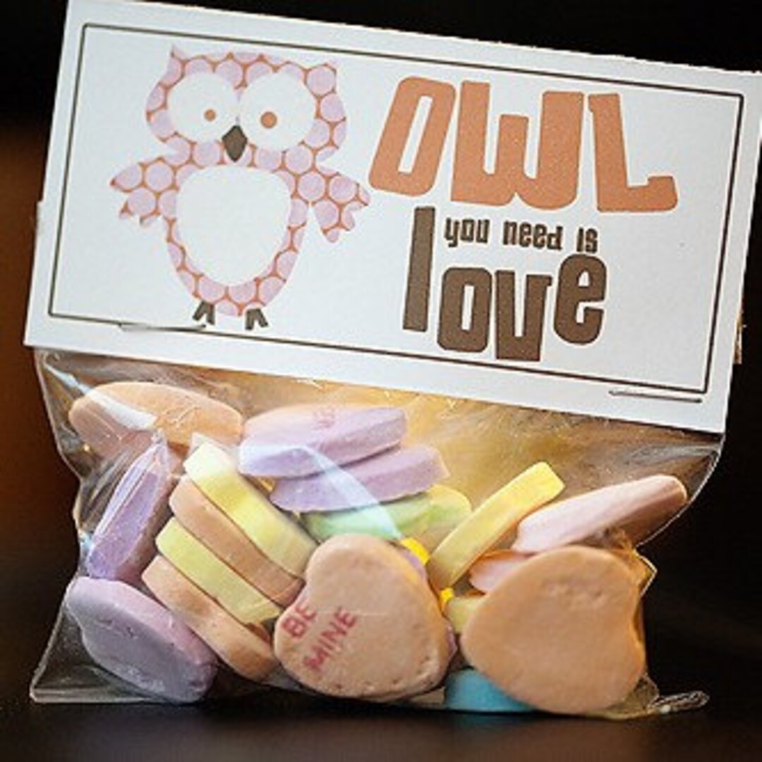 Owl Valentine's Treat Bag Topper Printable Owl You - Etsy