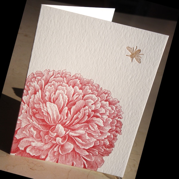 Bee Lover Gift - 60+ Gift Ideas for 2026
