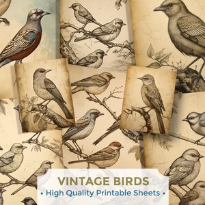 Vintage Birds, Printable, Junk Journal, Scrapbook, Craft, Paper, Card ...