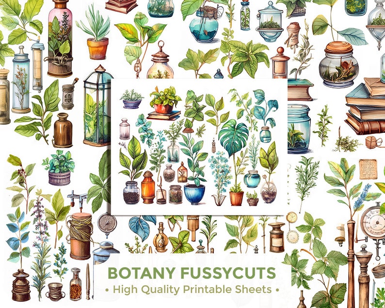 Botany Fussy Cuts, Nature, Printable, Junk Journal, Scrapbook, Craft ...