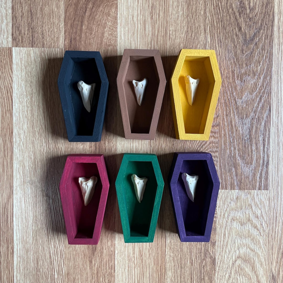 Coffin Bone Displays - Etsy