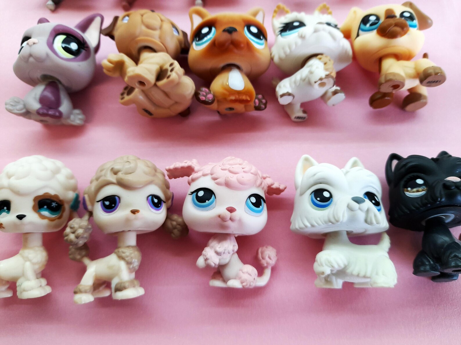 Littlest Pet Shop Dogs Poodle French Bulldog Husky Puppy Scottie Hasbro ...