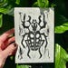 Insect Linocut Print "beetle" 5"x7" | Hand Printed Original Carved ...