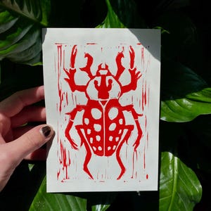 Insect Linocut Print "beetle" 5"x7" | Hand Printed Original Carved ...