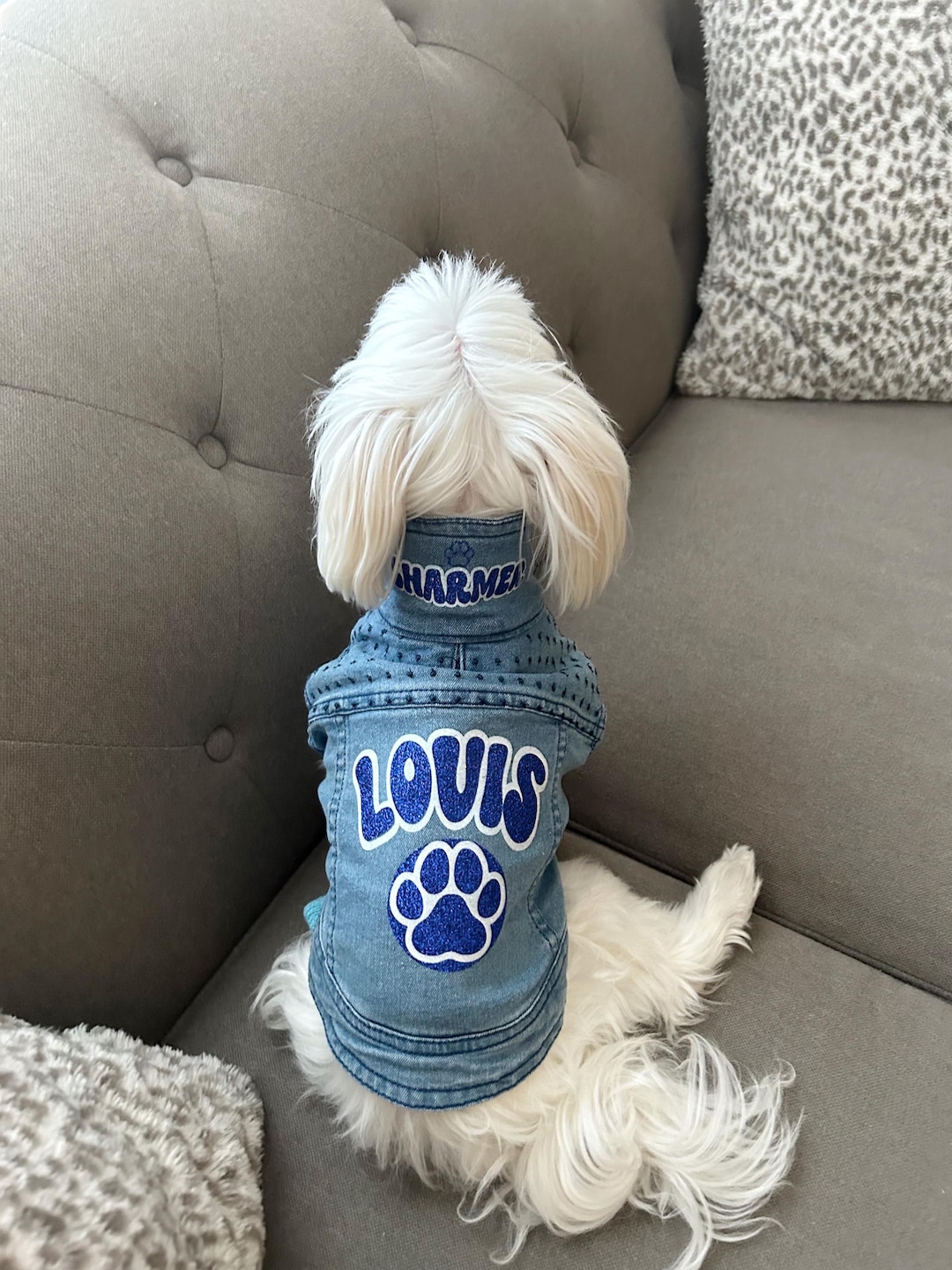 Maltipoo Jacket | Maltese Dog Clothes | Havanese Dog | Personalized Dog ...