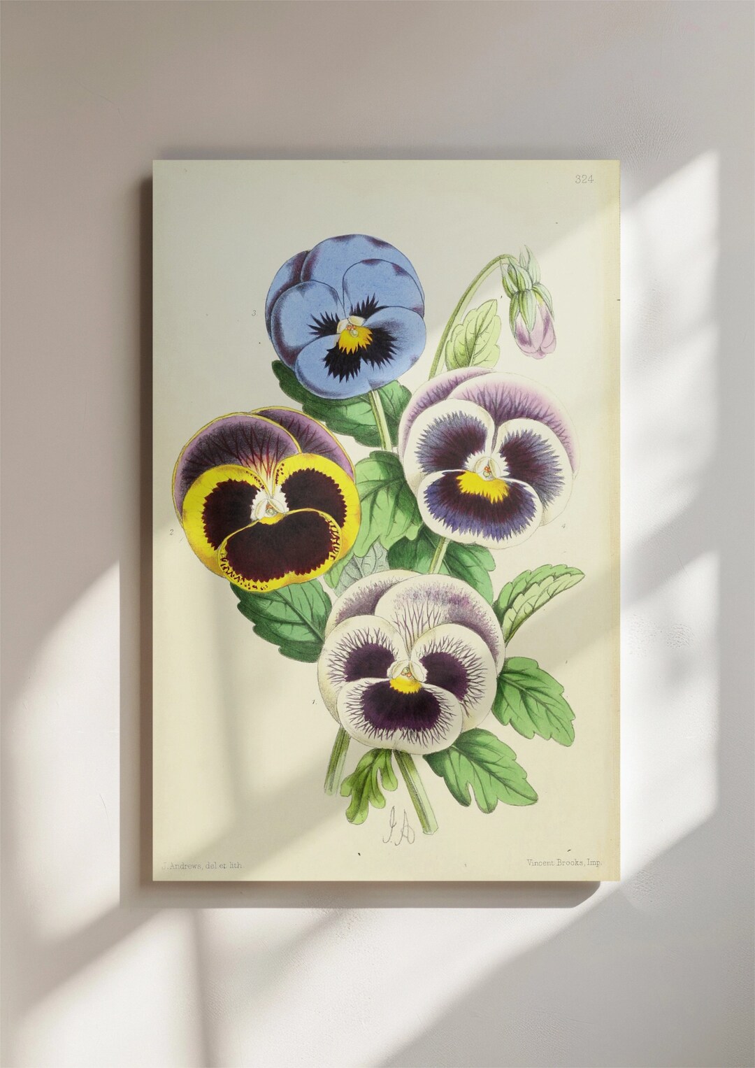 Digital Download Floral Botanical Zoological Illustration Nature ...