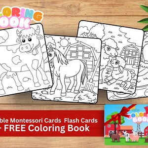 FARM ANIMALS Editable Montessori Cards Flash Cards Nomenclature ...