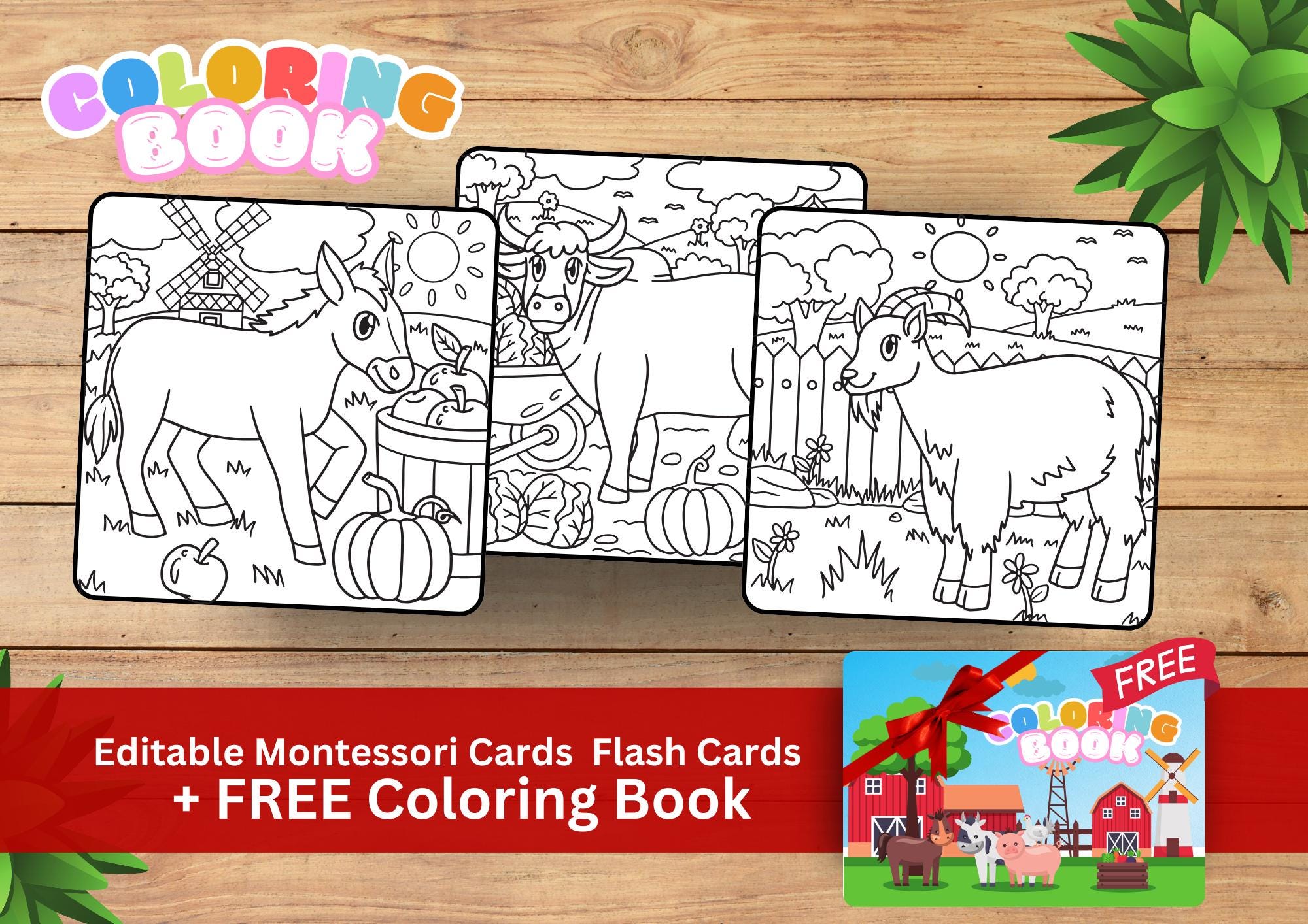 FARM ANIMALS Editable Montessori Cards Flash Cards Nomenclature ...